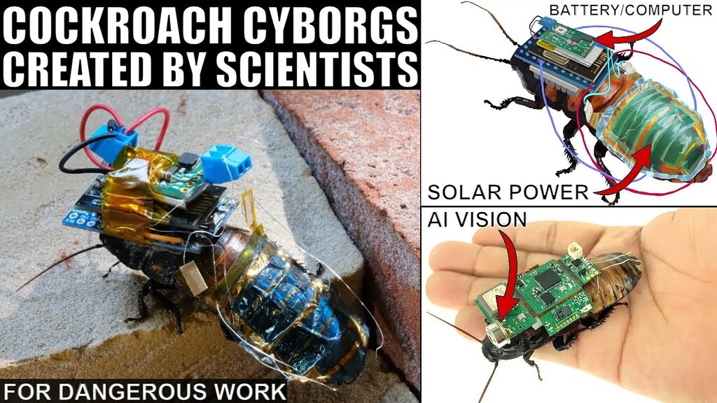 Finally! Solar Powered Cyborg Cockroaches - The Happening World - Scanalyst