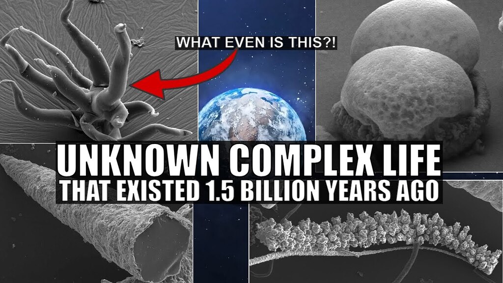 Strange Complex Life Forms from Earth's “Boring Billion” Years ...
