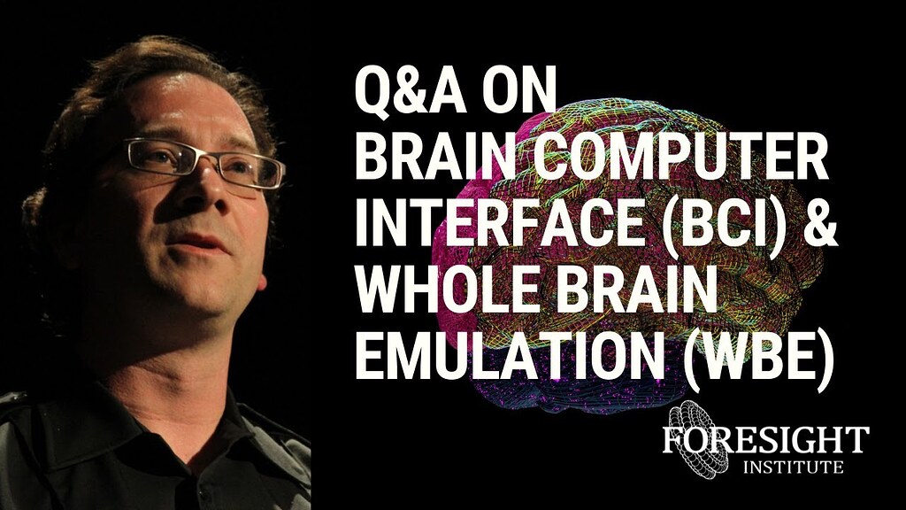 Neurotechnology—Brain-Computer Interface and Whole Brain Emulation ...