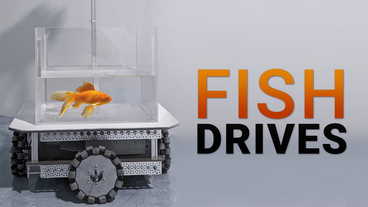Tesla, Shmesla—It's a Fish Operated Vehicle! - The Happening World ...