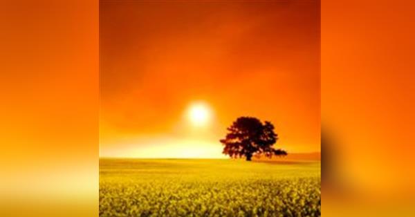 "Elon, you emigrated to the wrong country."™* - Page 6 - The Happening ...